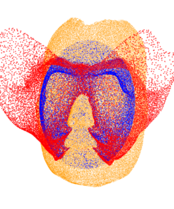 Company - Inora Technologies Inc. Site